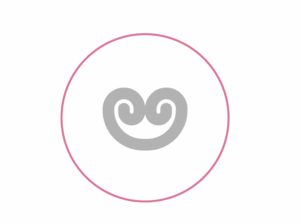 PASTRY LINES | Beor Bakery Equipment